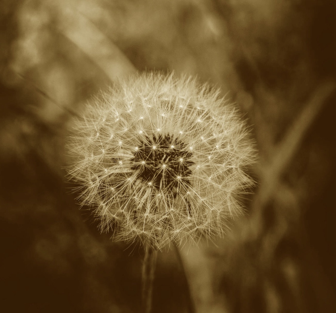 Fragile Things – You Lil Dickens